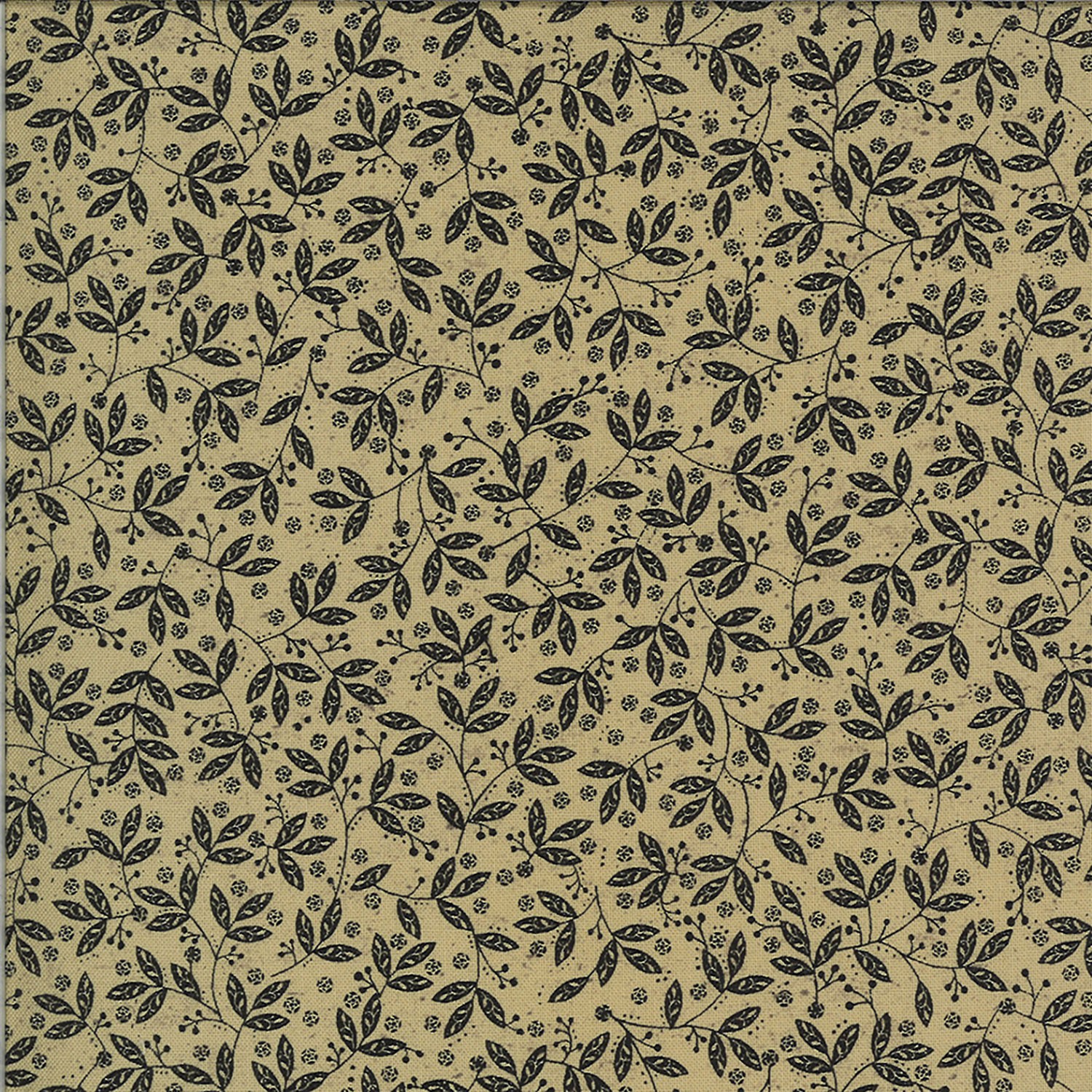 Maryland - Trailing Vines | ConnectingThreads.com