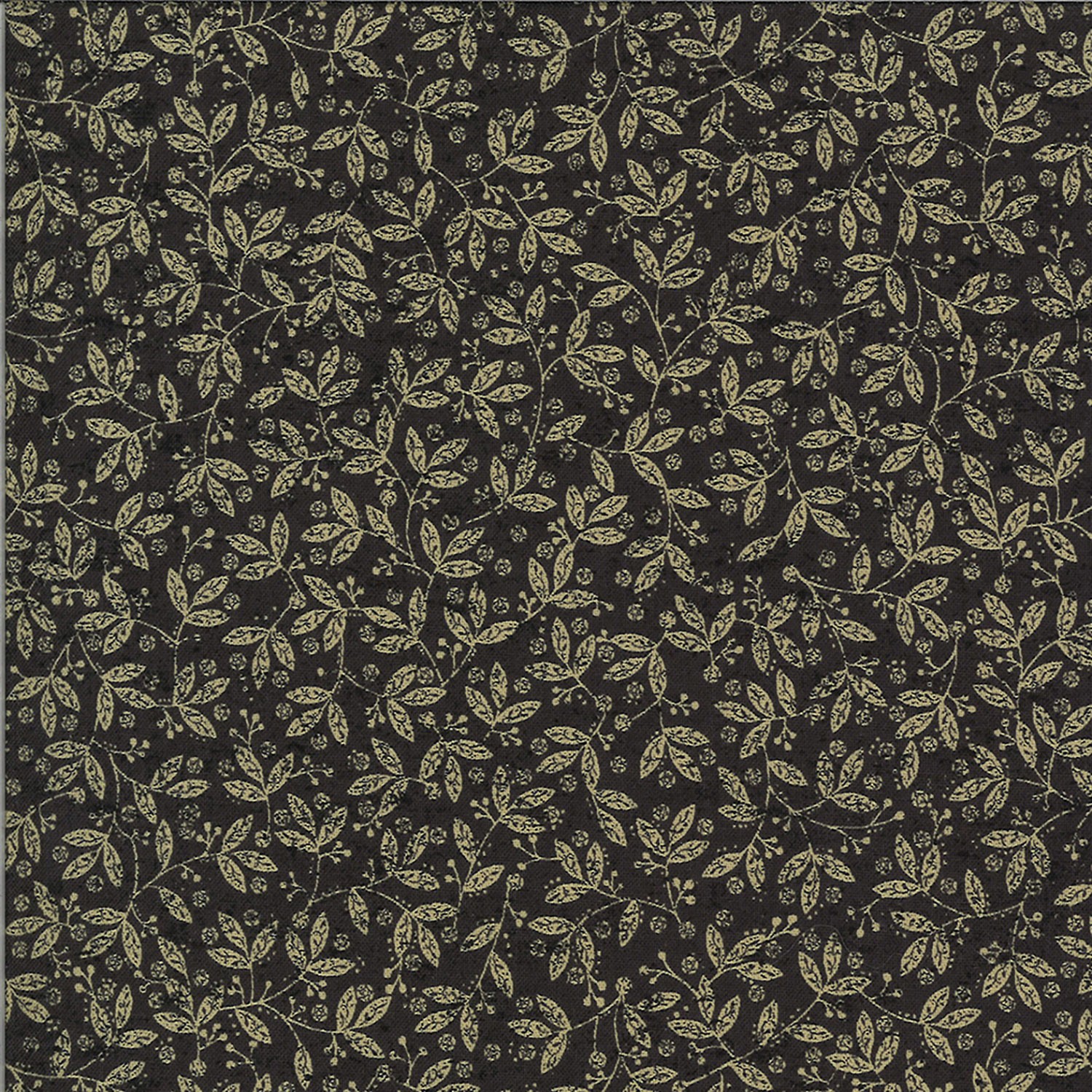 Trailing Vines | ConnectingThreads.com