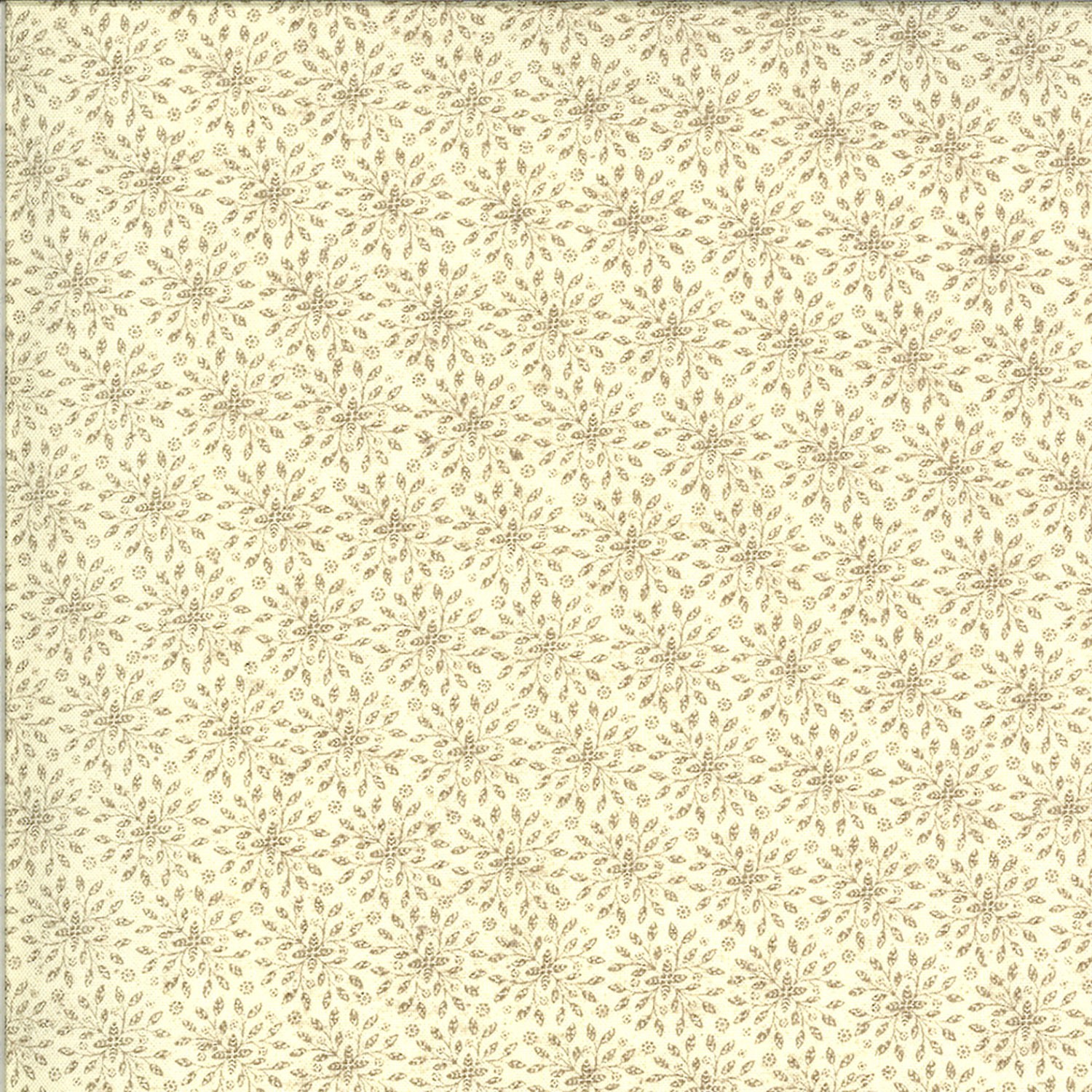 Bloom Burst | ConnectingThreads.com