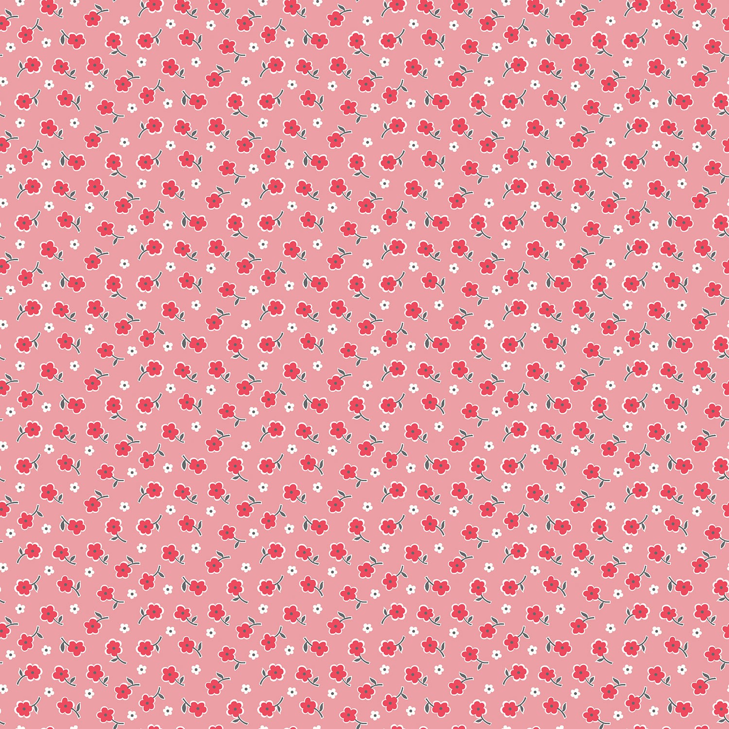 Bloom | ConnectingThreads.com