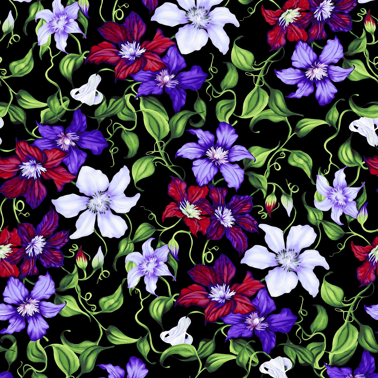 Clematis Vine | ConnectingThreads.com