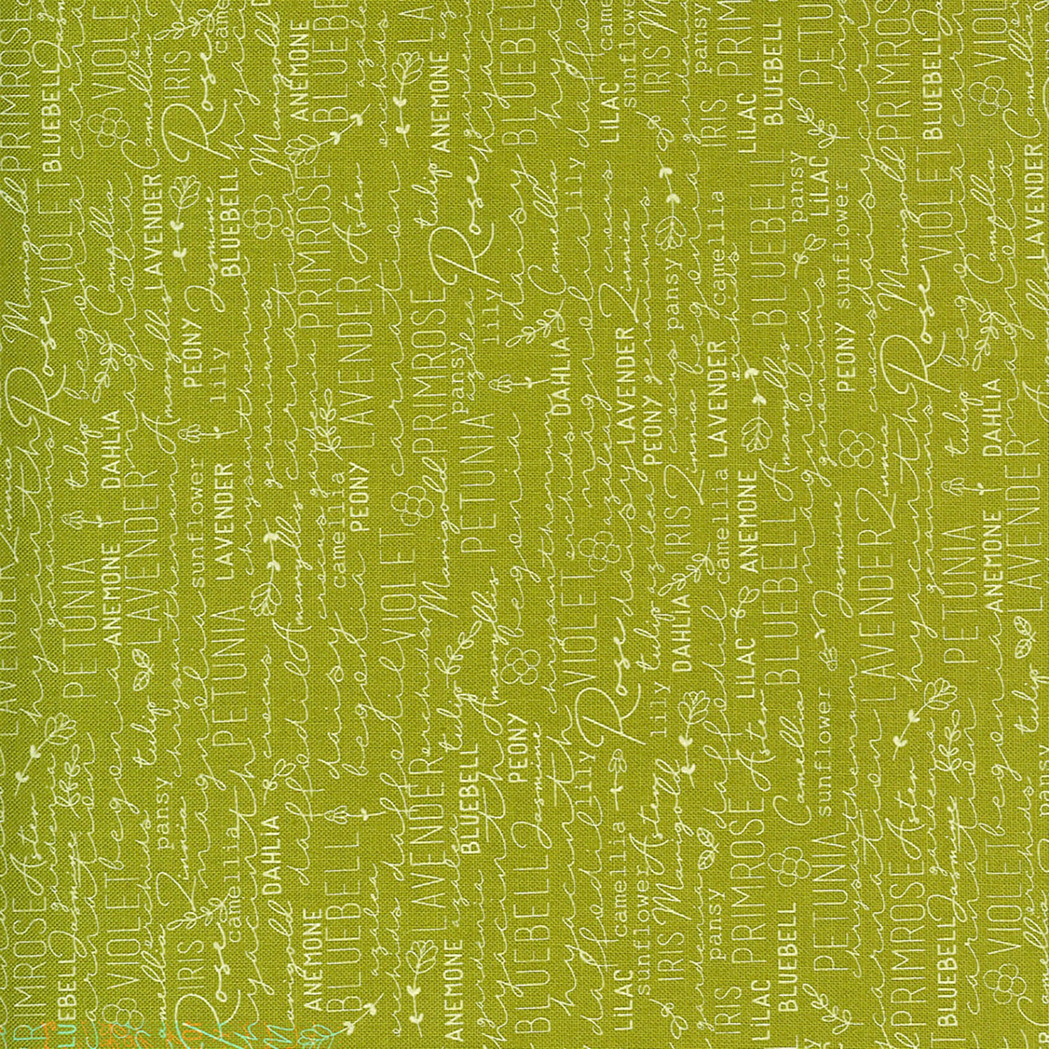 Spring Chicken - Posey | ConnectingThreads.com