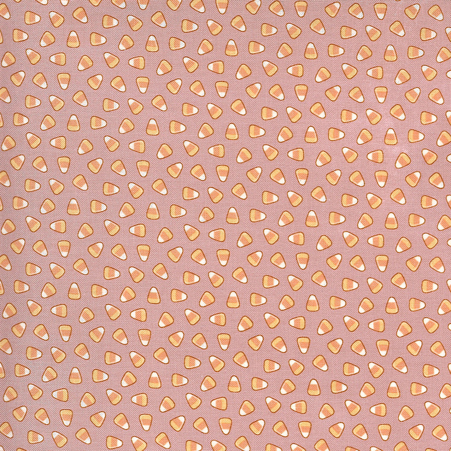 Kitty Corn | ConnectingThreads.com