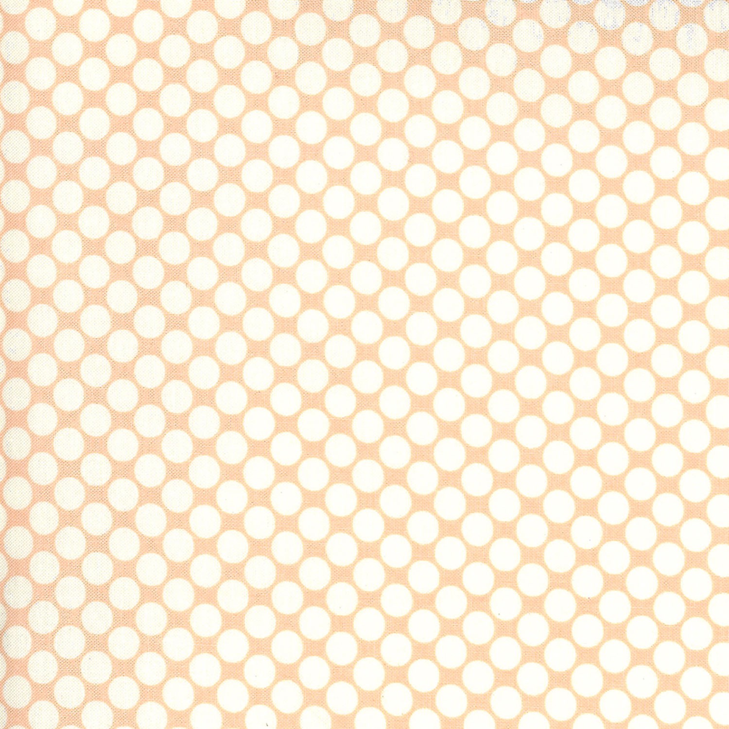 Kitty Corn | ConnectingThreads.com