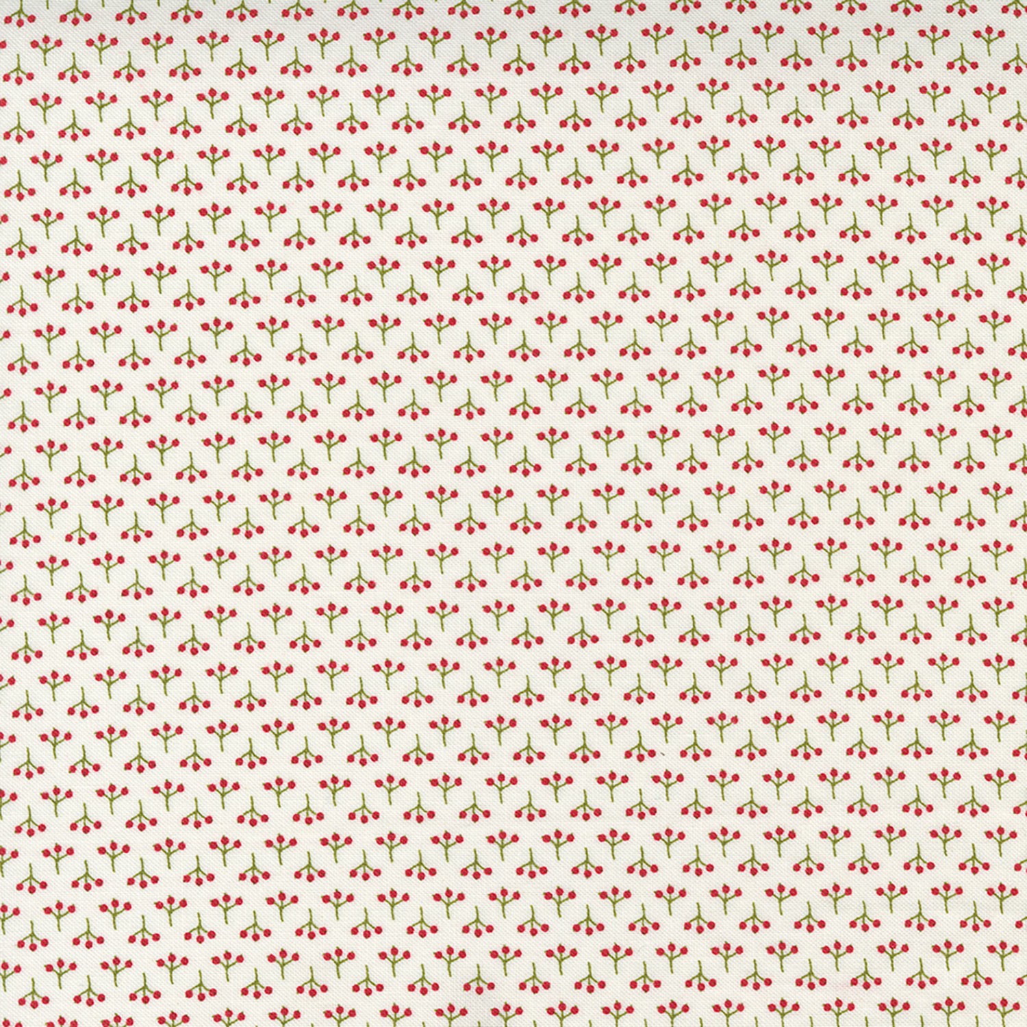 Berries | ConnectingThreads.com