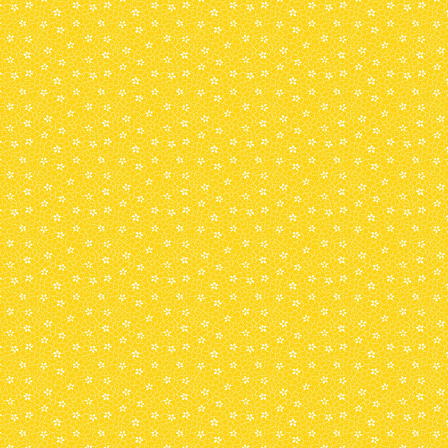 Hello Daisy! - Winnie | ConnectingThreads.com