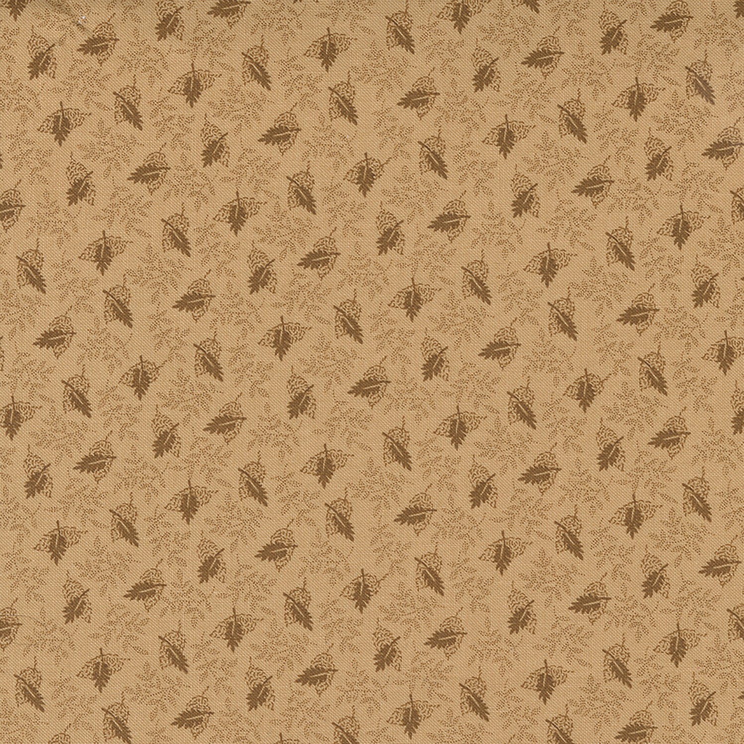 Rose | ConnectingThreads.com