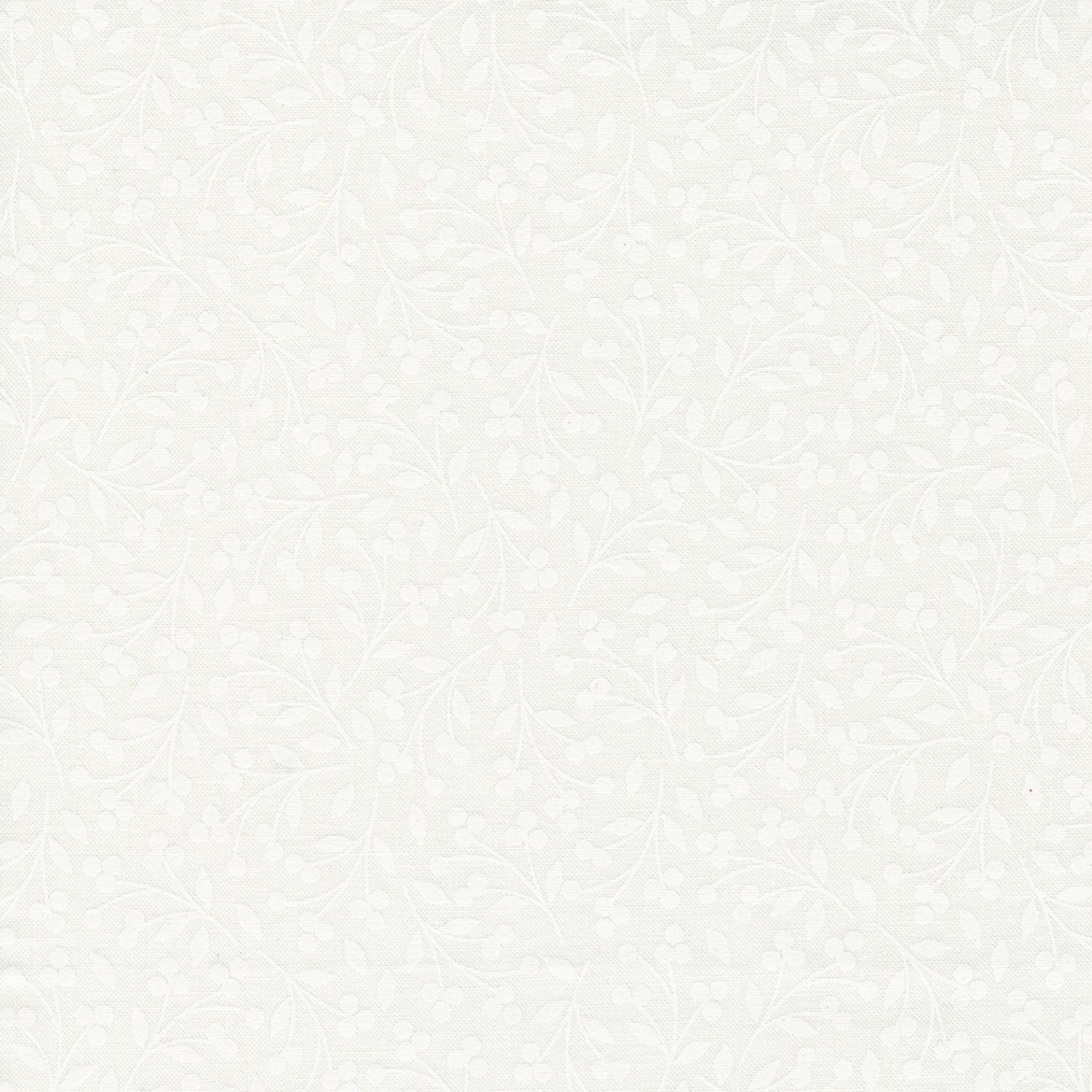 Vines | ConnectingThreads.com