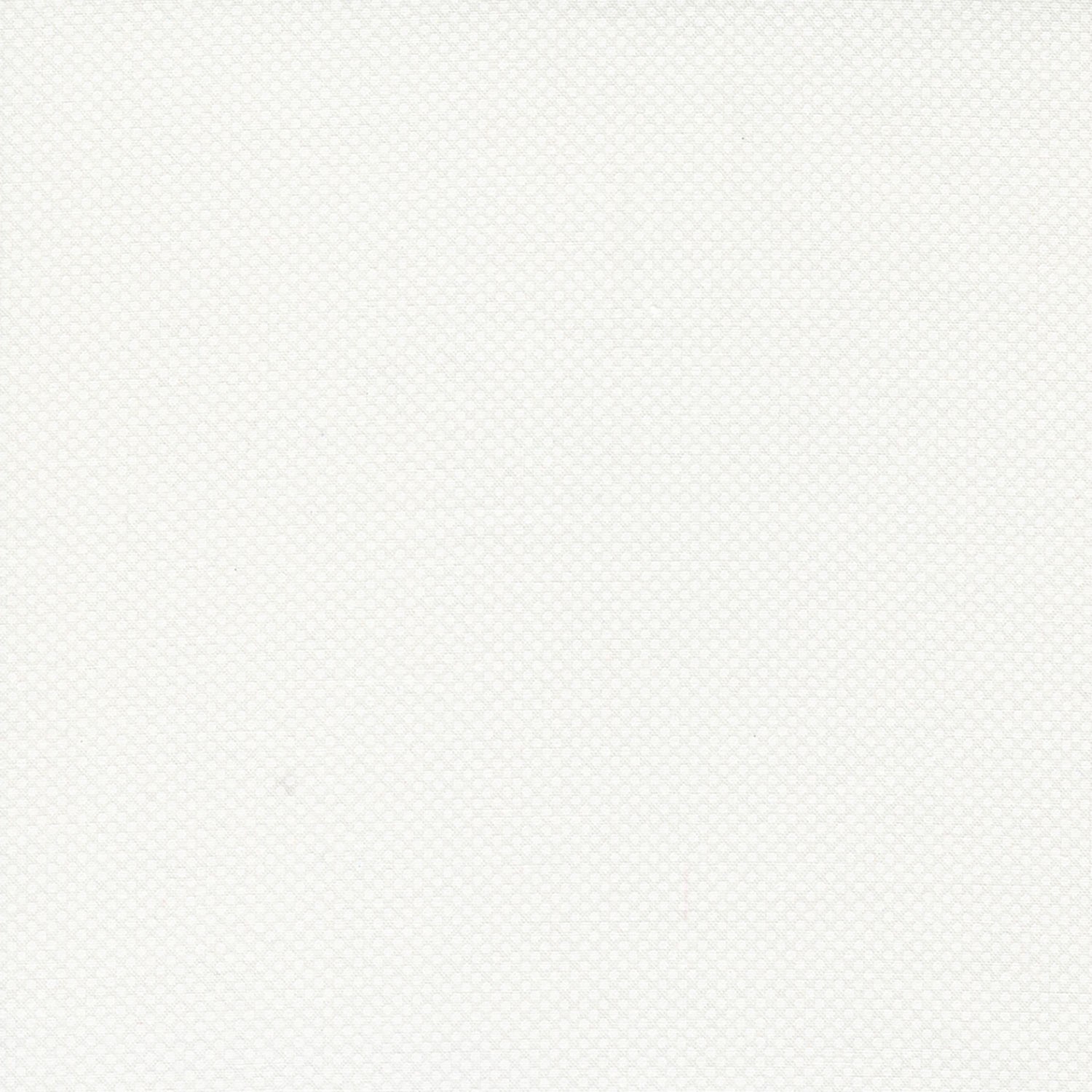 Coriander Seeds - Pin Dot | ConnectingThreads.com