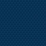 Starlit Picnic Quilt Kit | ConnectingThreads.com