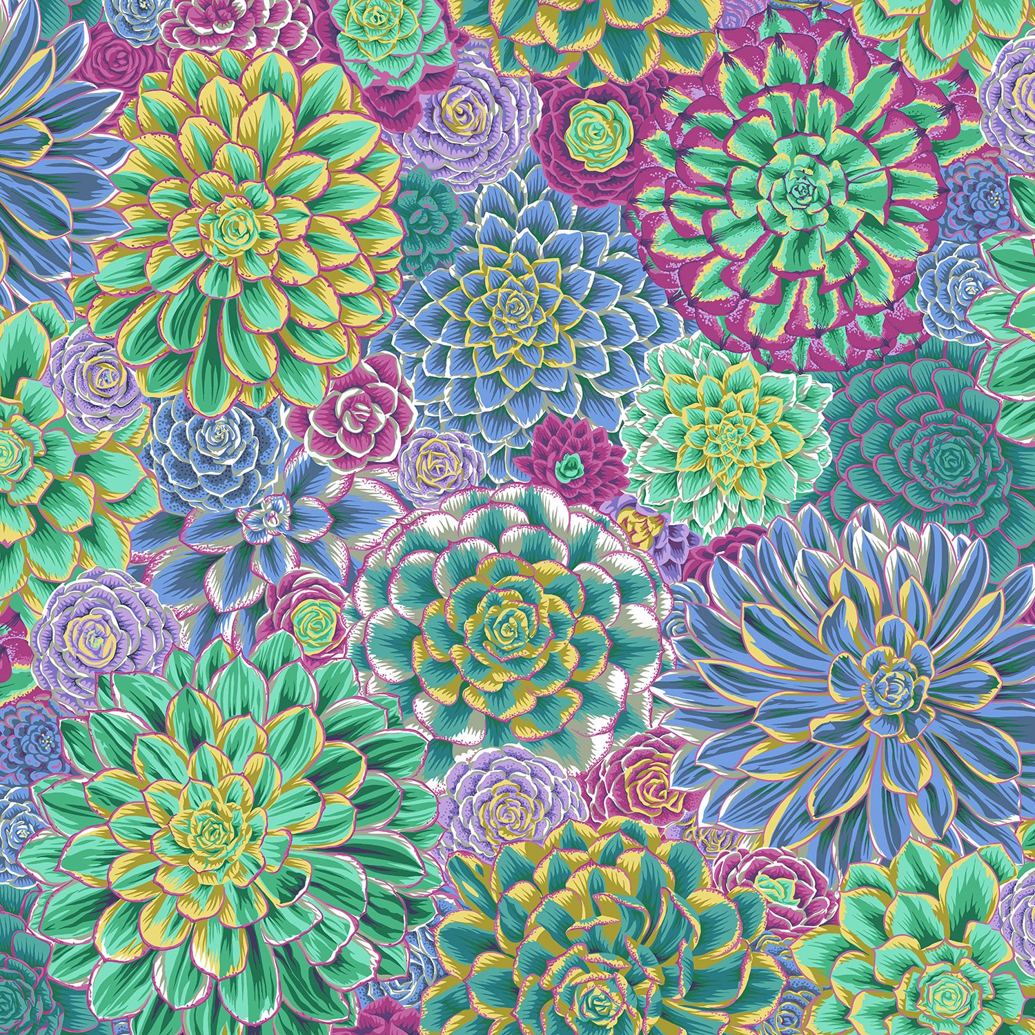 House Leeks | ConnectingThreads.com