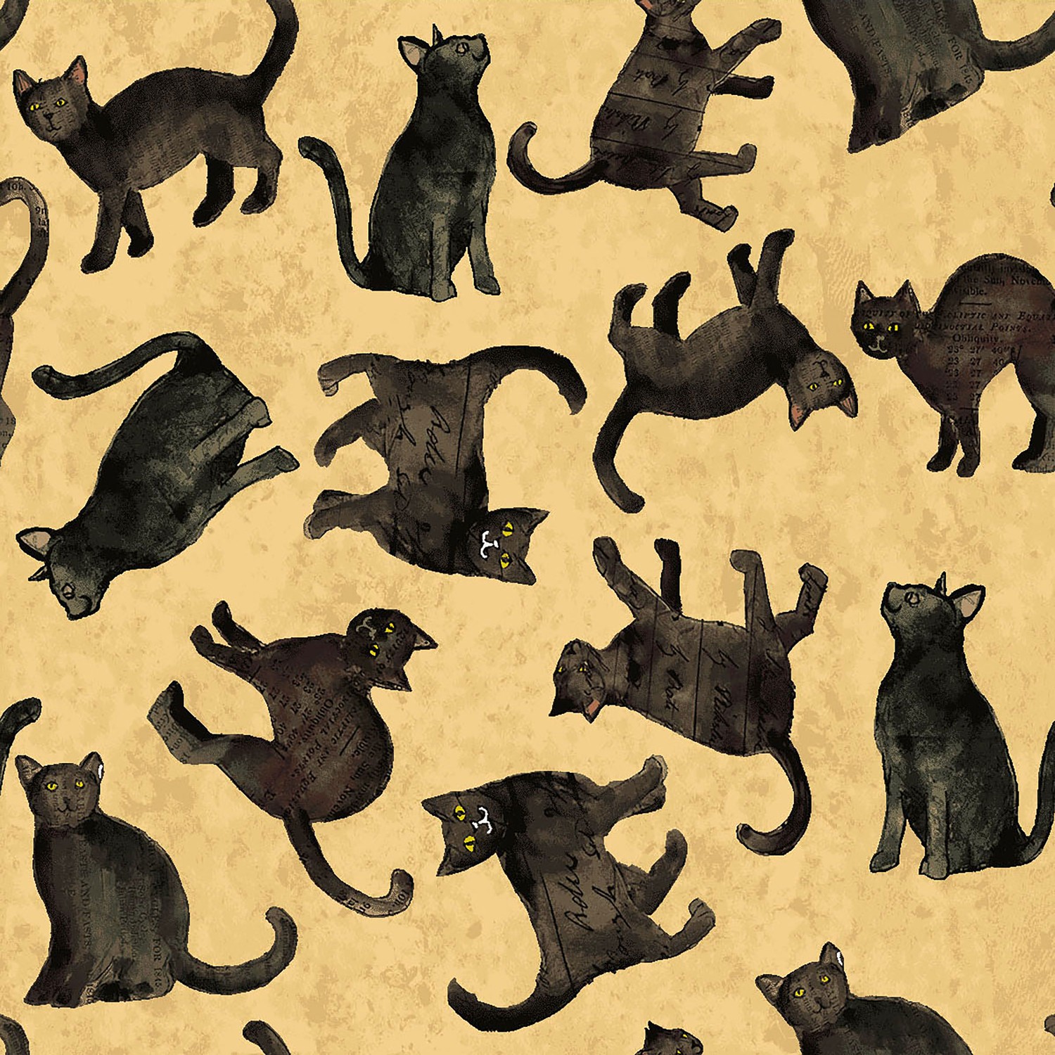 Black Cats | ConnectingThreads.com