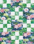 Dragonfly Days - Nine Plus One 3-Yard Quilt Kit | ConnectingThreads.com
