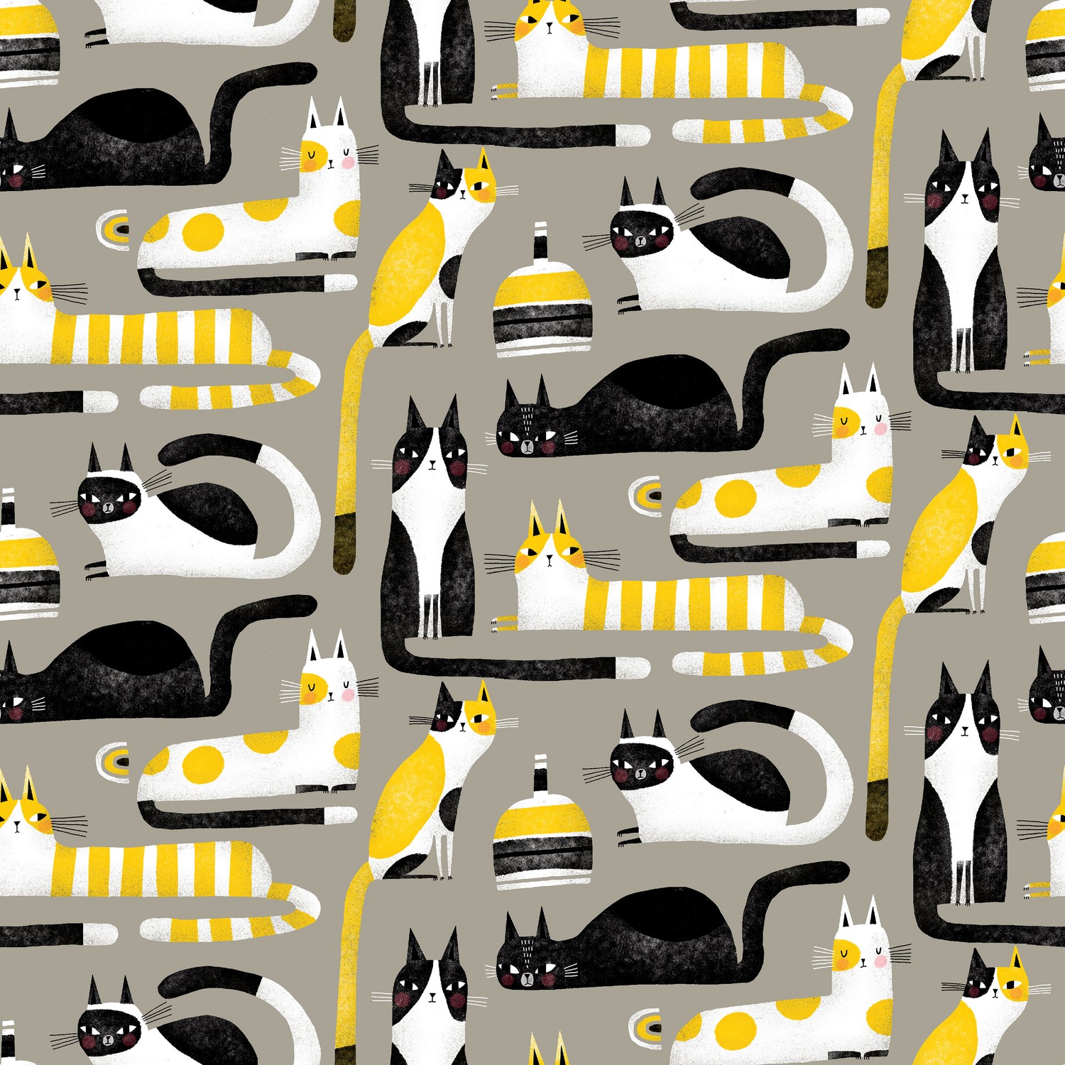 Cosmo Cats | ConnectingThreads.com