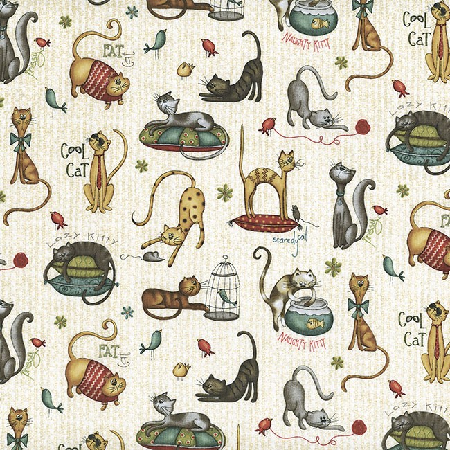 Collection of Cats | ConnectingThreads.com