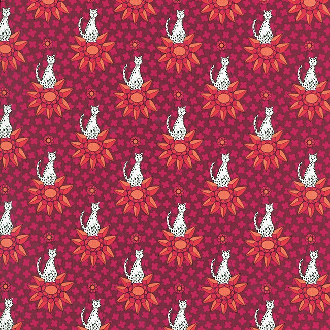 Cosmo Cats | ConnectingThreads.com