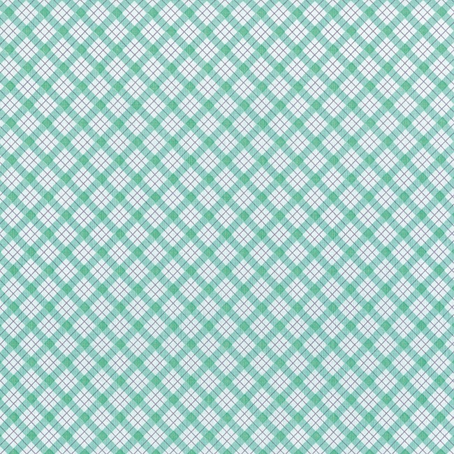 Bias Plaid | ConnectingThreads.com