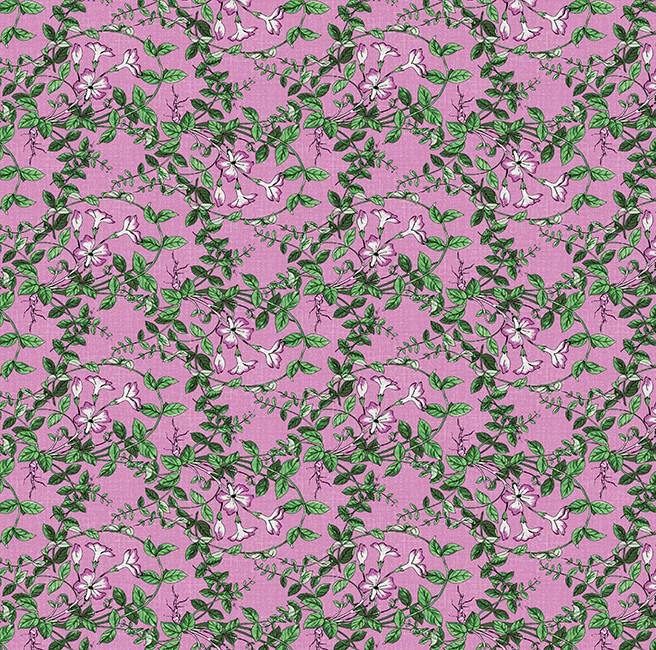 Packed Vines | ConnectingThreads.com