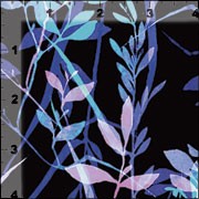 Night Meadow | ConnectingThreads.com