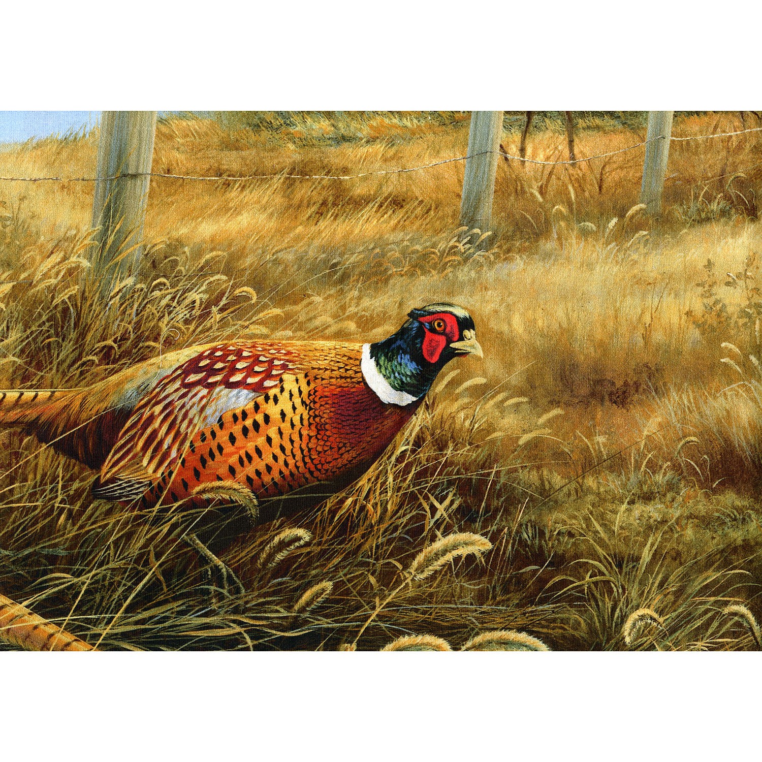 Naturescapes Pheasant Run Panel | ConnectingThreads.com