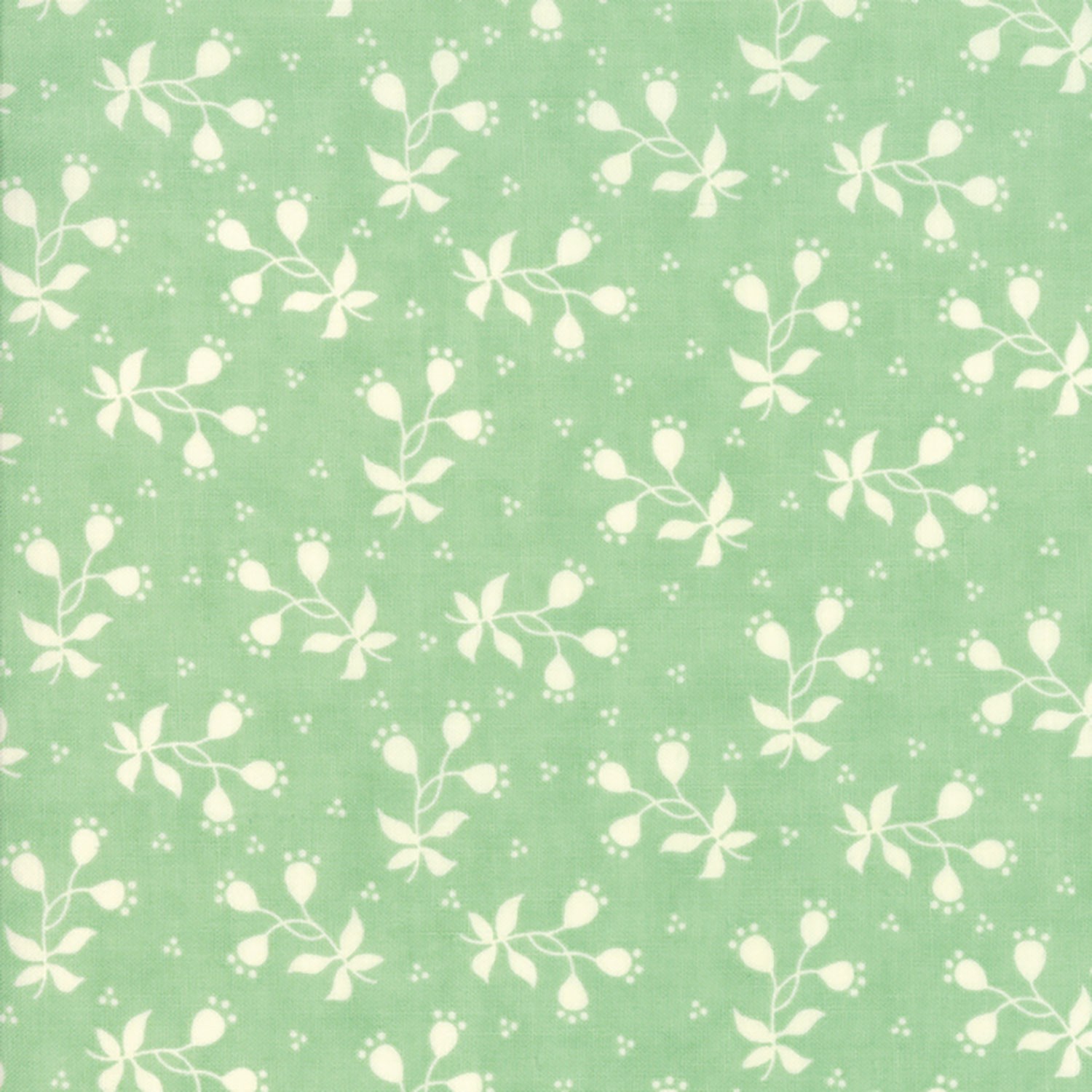 Berries | ConnectingThreads.com