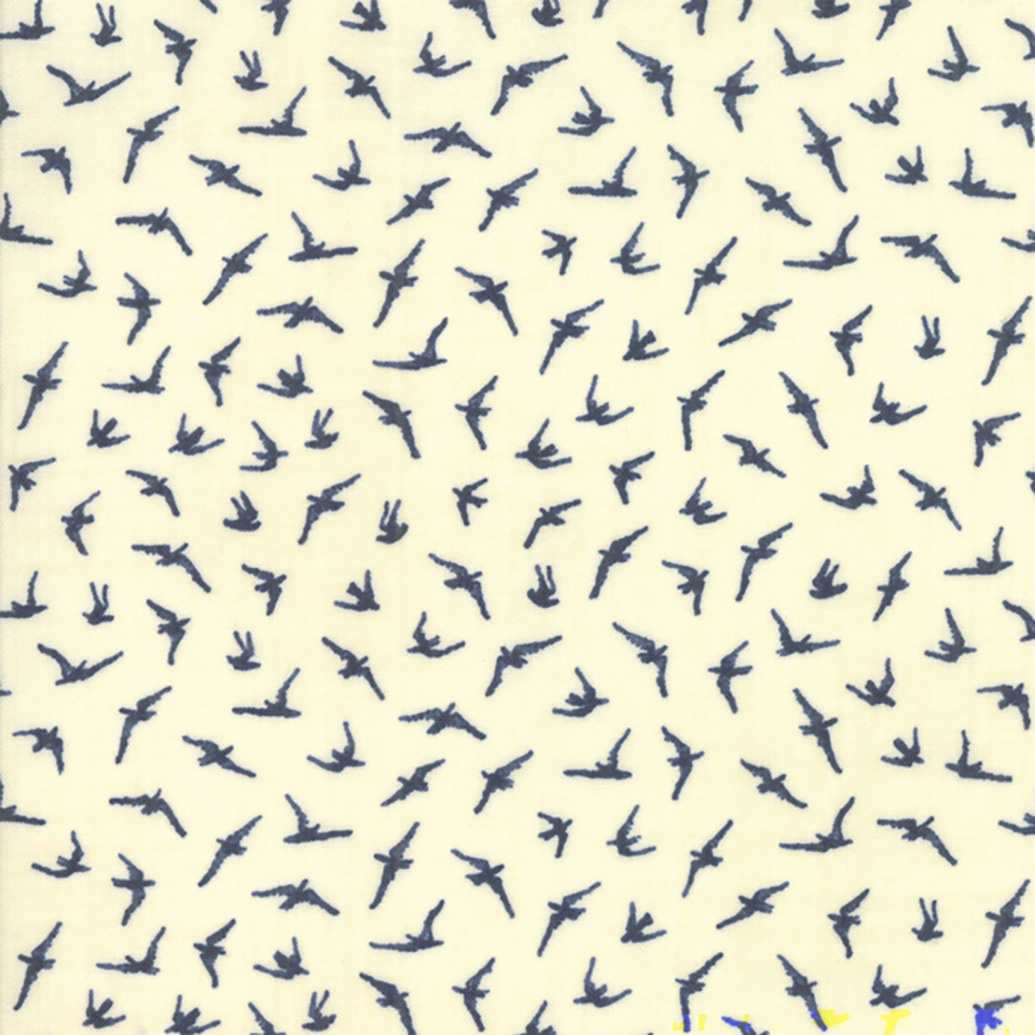 Seabirds | ConnectingThreads.com