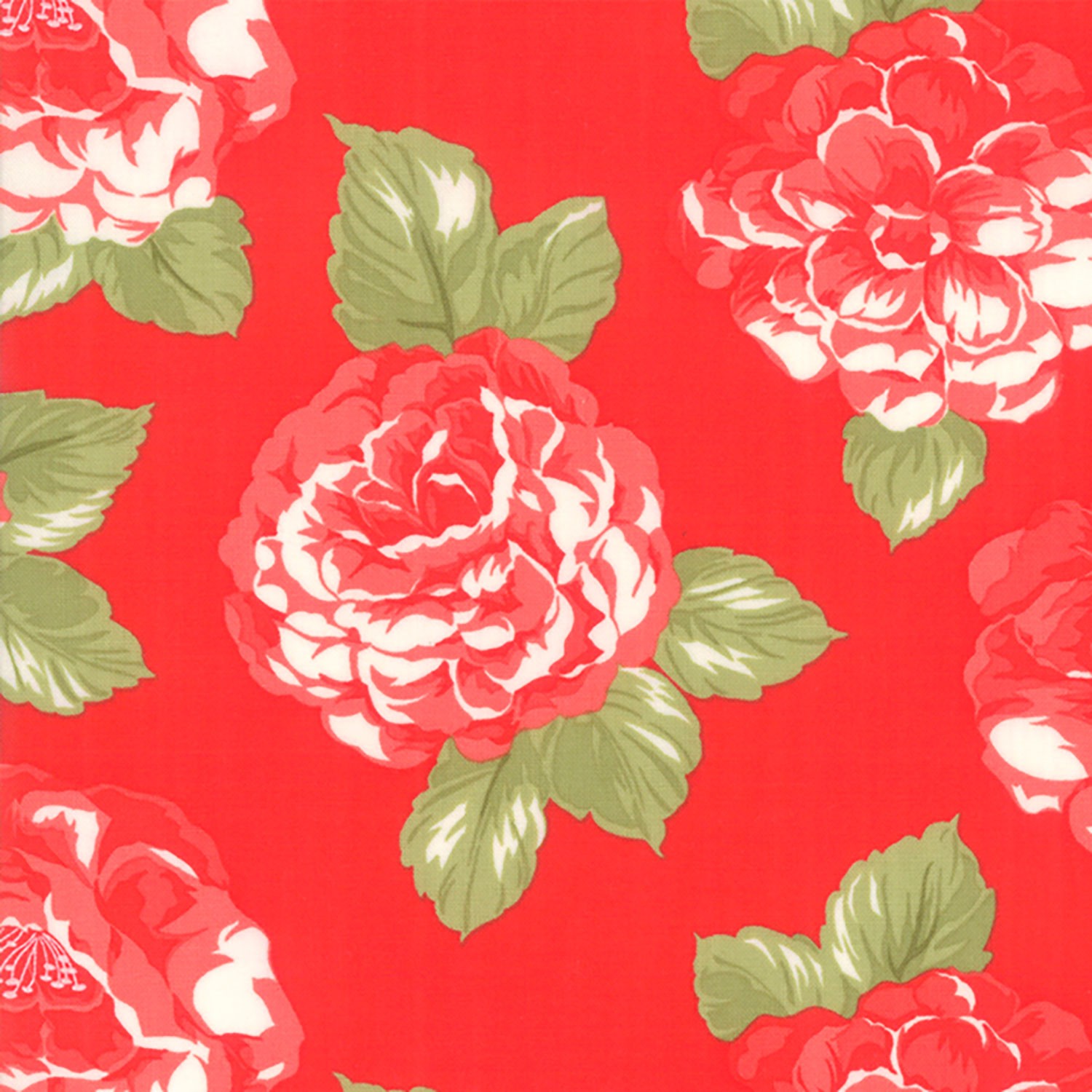 Blooms | ConnectingThreads.com