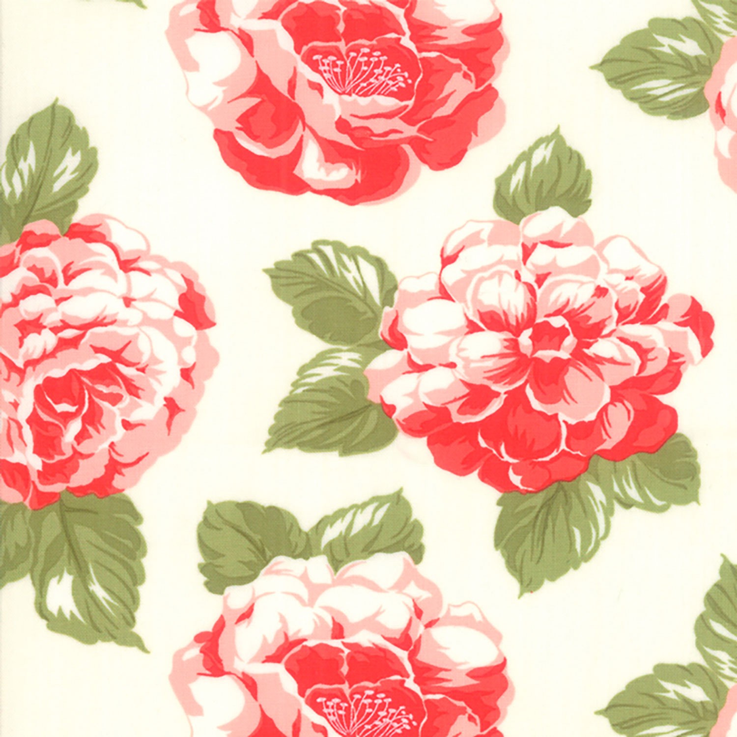 Blooms | ConnectingThreads.com