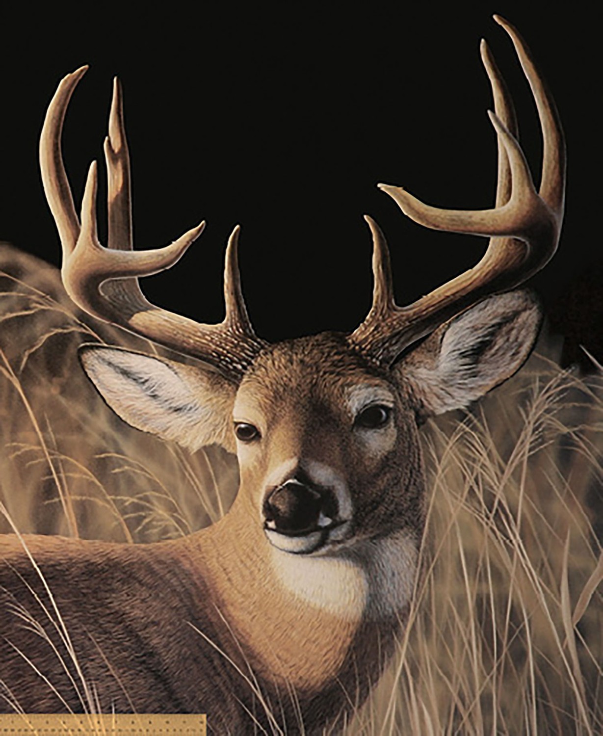 Deer Digital Panel | ConnectingThreads.com