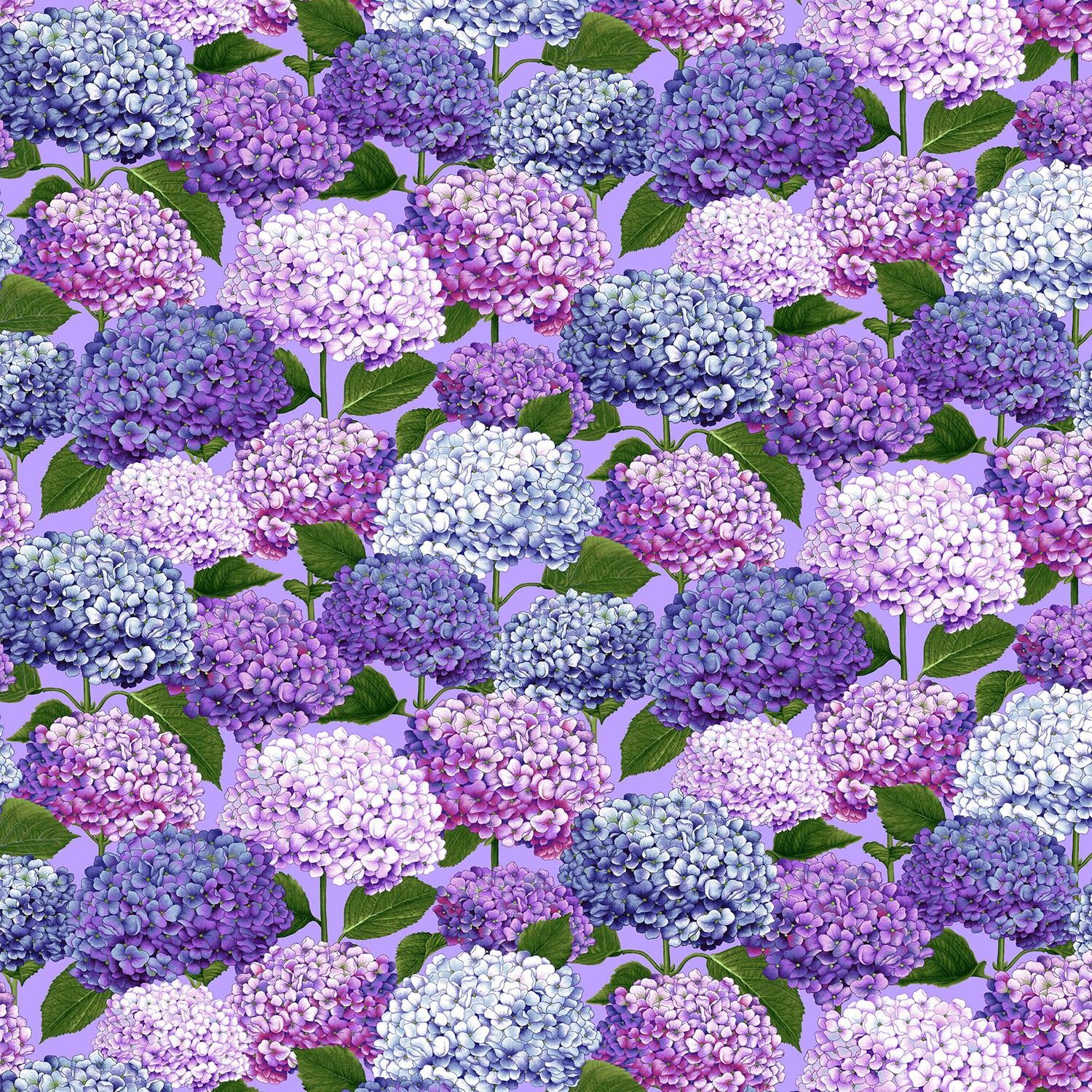 Hydrangea | ConnectingThreads.com