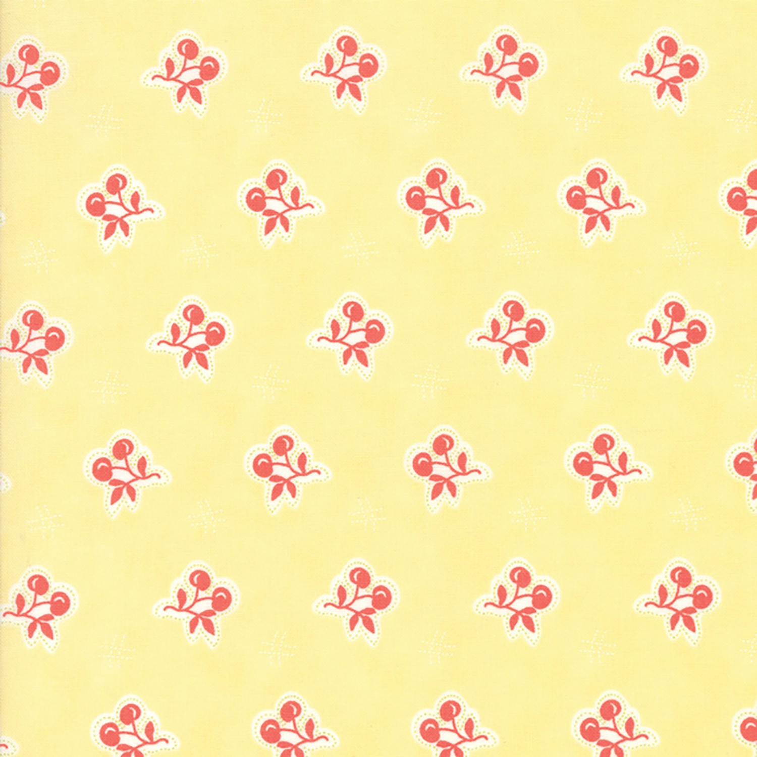 Catalina - Cherries | ConnectingThreads.com