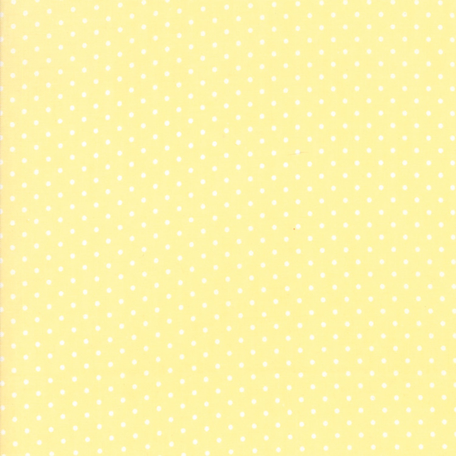 Catalina Polka Dot Bikini